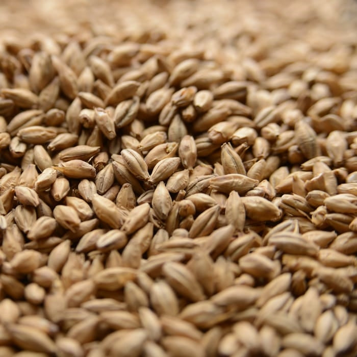 Malting Company Ireland - Irish Distillers Malt 10lb – How To Distill